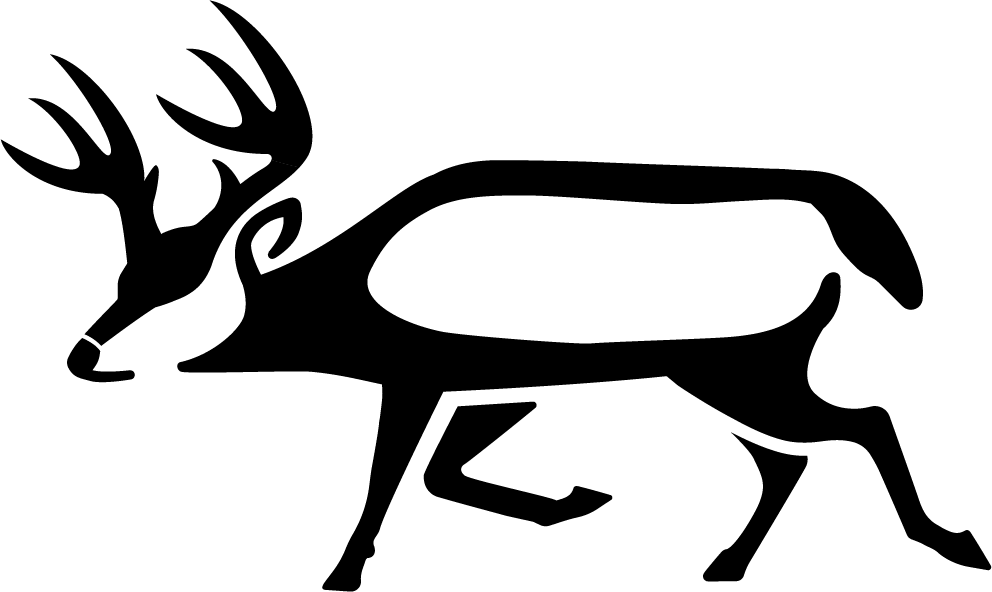 Buck On A Hat Collections